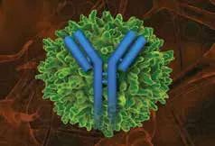 Intellicyt® iQue3 更快、更智能化的流式细胞术 - 博美达生命科学